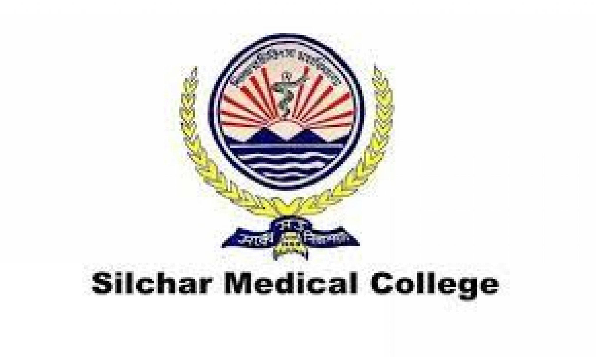 Silchar Medical College Recruitment 2021 – Data Entry Operator and 2 ...