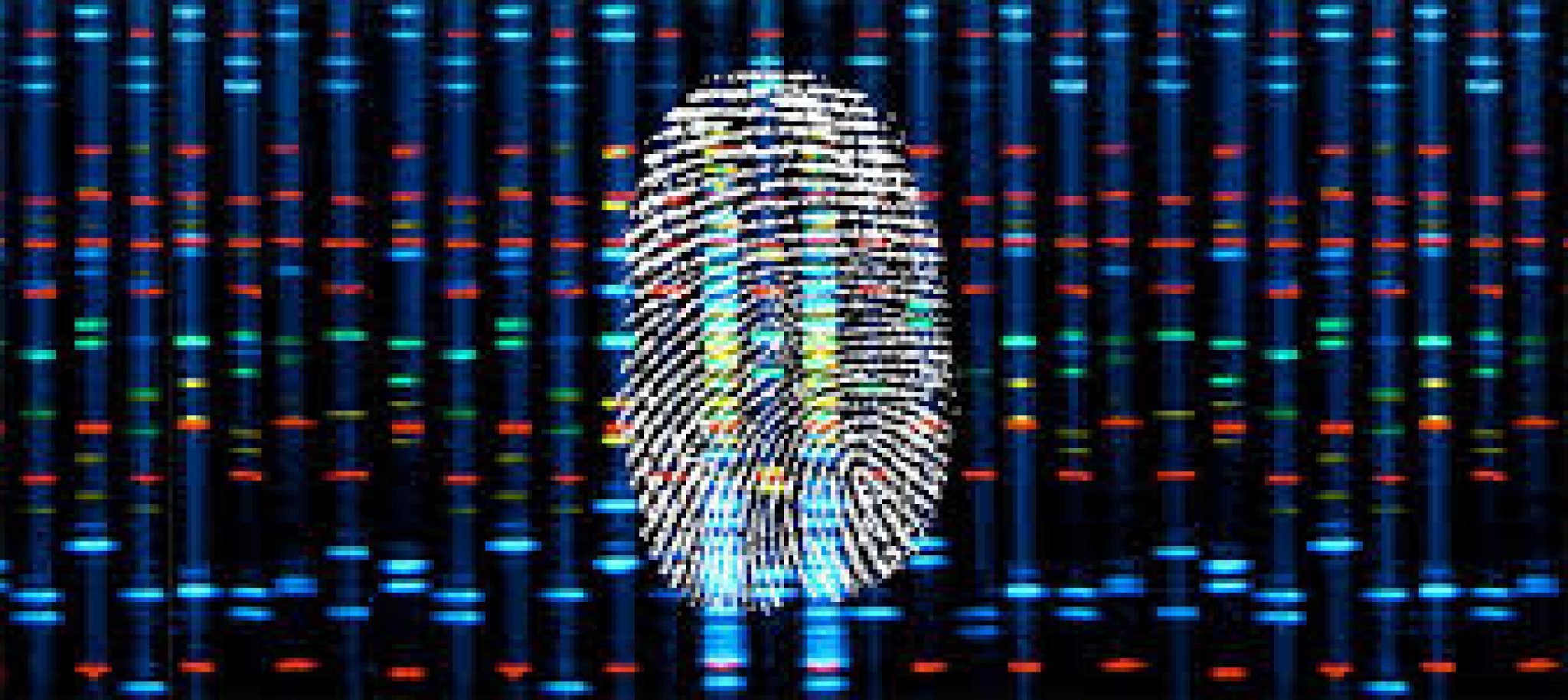 DNA fingerprinting
